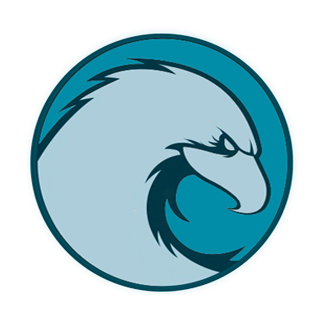 CyberHawk Solutions - backed by experienced innovators